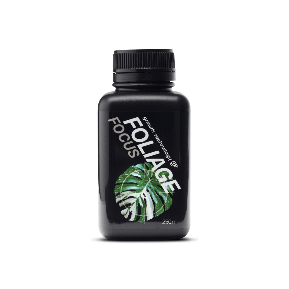 Foliage Focus | Growth Technology | Buy Online – Gifts That Grow